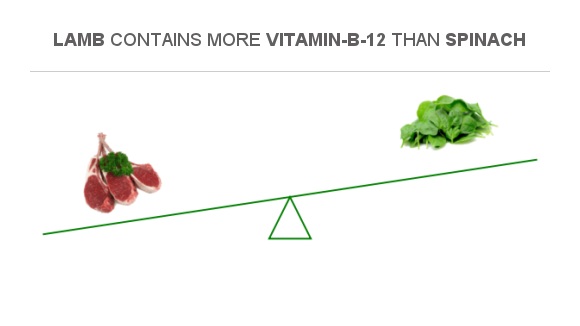 Compare Vitamin B12 in Lamb to Vitamin B12 in Spinach