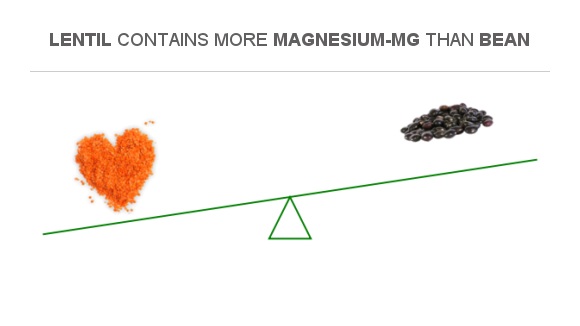 Compare Magnesium in Lentil to Magnesium in Beans