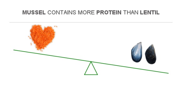 Compare Protein in Lentil to Protein in Mussels