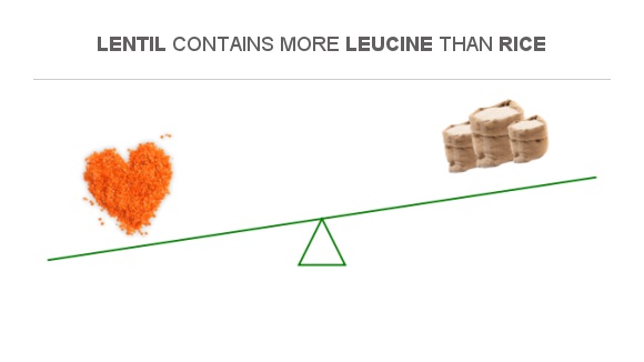 Compare Leucine in Lentil to Leucine in Rice