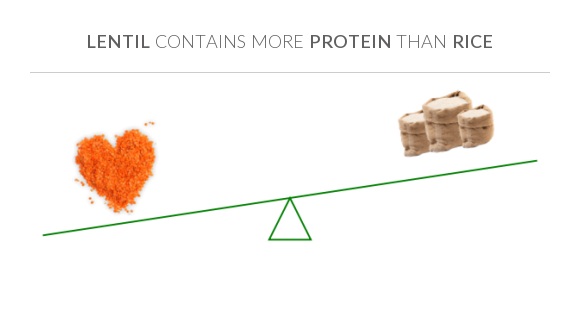 Compare Protein in Lentil to Protein in Rice