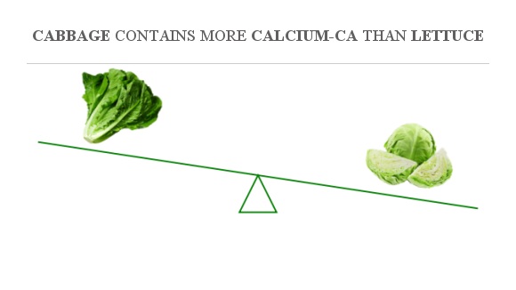 Compare Calcium in Lettuce to Calcium in Cabbage