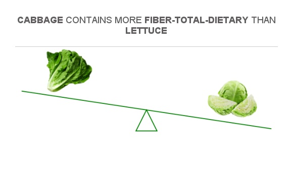 Compare Fiber in Lettuce to Fiber in Cabbage