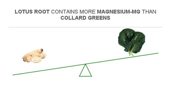 Compare Magnesium in Lotus root to Magnesium in Collard Greens