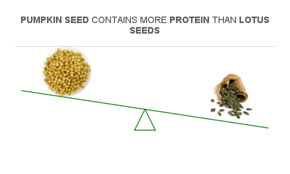 Compare Protein in Lotus seeds to Protein in Pumpkin seeds Compare Protein in Lotus seeds to Protein in Pumpkin seeds