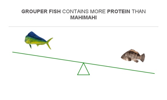 Compare Protein in Mahimahi to Protein in Grouper