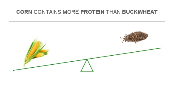 Compare Protein in Corn to Protein in Buckwheat