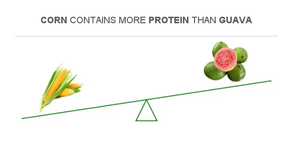 Compare Protein in Corn to Protein in Guava