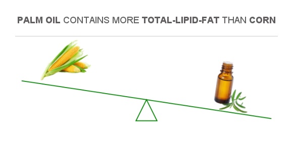 Compare Fats in Corn to Fats in Palm oil
