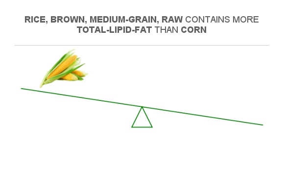 Compare Fats in Corn to Fats in Rice, brown, medium-grain, raw