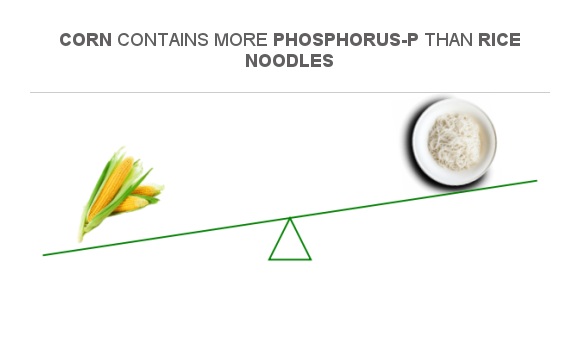 Compare Phosphorus in Corn to Phosphorus in Rice noodles