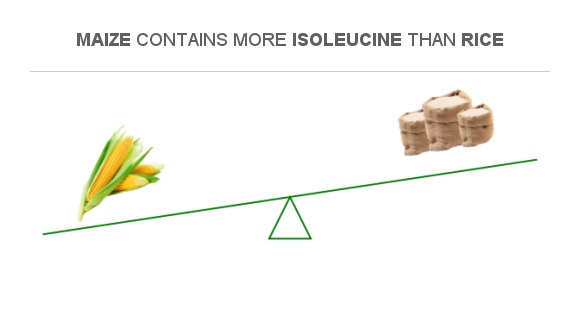 Compare Isoleucine in Corn to Isoleucine in Rice