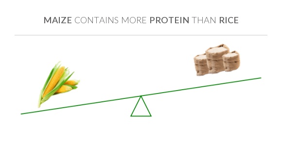 Compare Protein in Corn to Protein in Rice