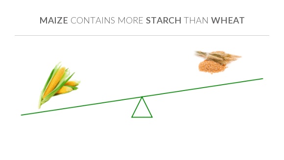 Compare Starch in Corn to Starch in Wheat