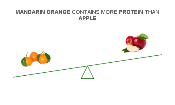 Compare Protein in Mandarin orange to Protein in Apple