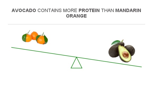 Compare Protein in Mandarin orange to Protein in Avocado