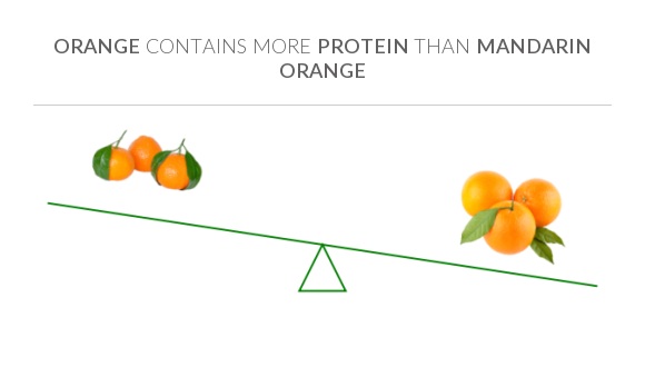 Compare Protein in Mandarin orange to Protein in Orange
