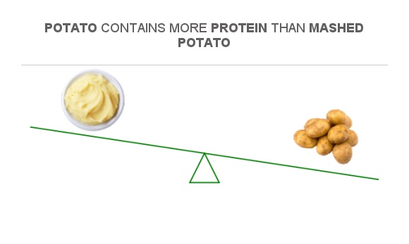 Compare Protein in Mashed potato to Protein in Potato