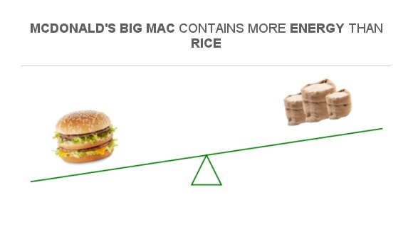 Compare Calories in McDonald's Big Mac to Calories in Rice