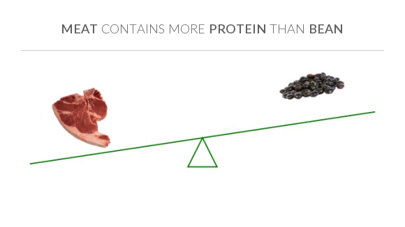 Compare Protein in Pork Meat to Protein in Beans