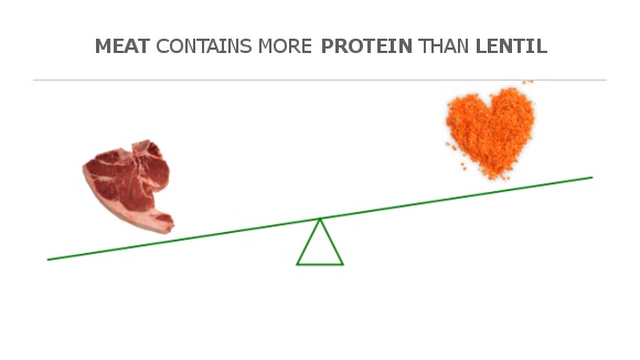 Compare Protein in Pork Meat to Protein in Lentil
