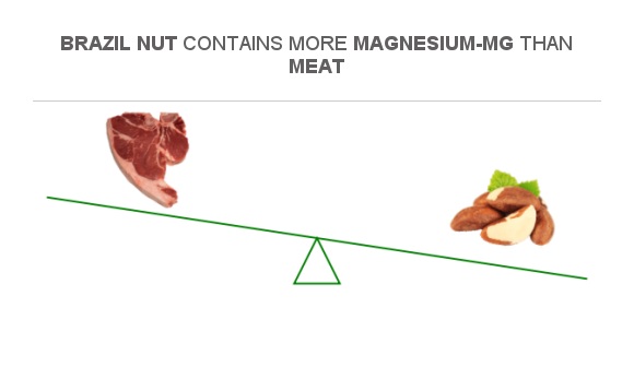 Compare Magnesium in Pork Meat to Magnesium in Brazil nut