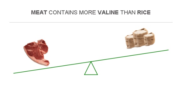 Compare Valine in Pork Meat to Valine in Rice