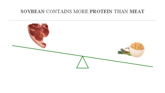 Compare Protein in Pork Meat to Protein in Soybean