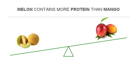 Compare Protein in Melon to Protein in Mango