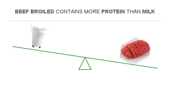 Compare Protein in Milk to Protein in Beef broiled