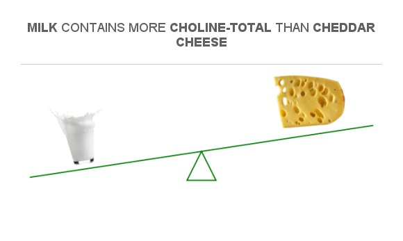 Compare Choline in Milk to Choline in Cheese