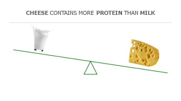 Compare Protein in Milk to Protein in Cheddar Cheese