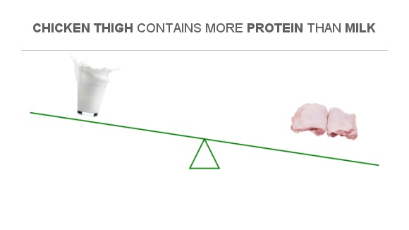 Compare Protein in Milk to Protein in Chicken thigh