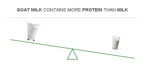 Compare Protein in Milk to Protein in Goat milk