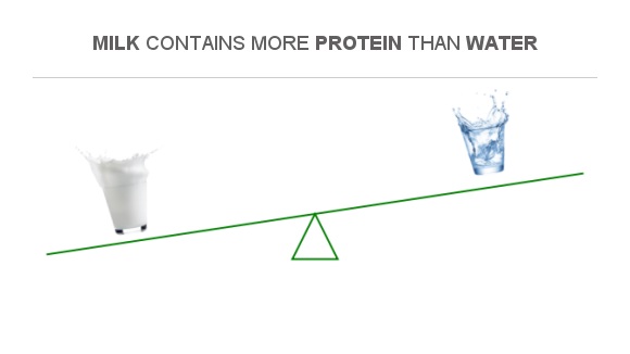 Compare Protein in Milk to Protein in Water