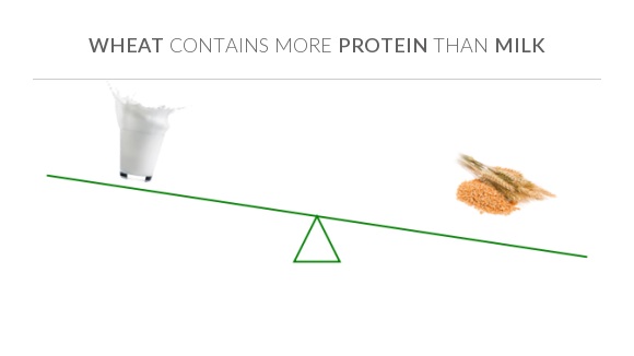 Compare Protein in Milk to Protein in Wheat