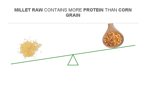 Compare Protein in Millet raw to Protein in Corn grain