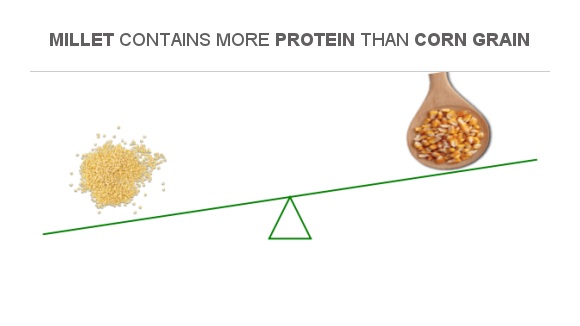 Compare Protein in Millet to Protein in Corn grain