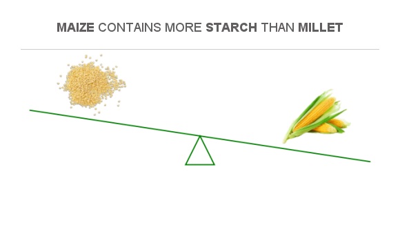 Compare Starch in Millet to Starch in Corn