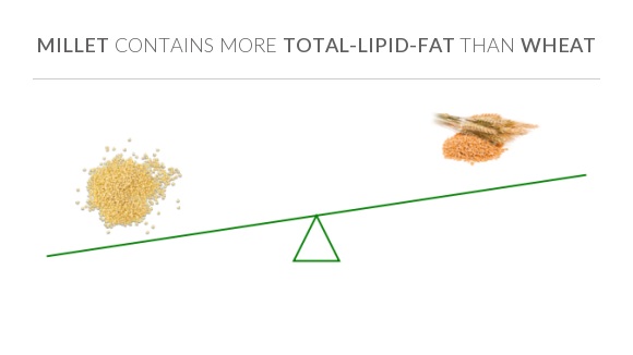 Compare Fats in Millet to Fats in Wheat