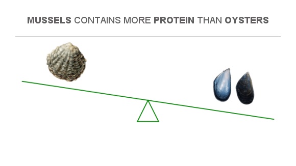 Compare Protein in Oysters to Protein in Mussels
