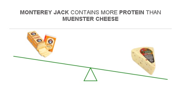 Compare Protein in Muenster cheese to Protein in Monterey Jack