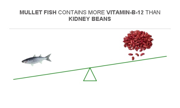 Compare Vitamin B12 in Mullet fish to Vitamin B12 in Kidney beans