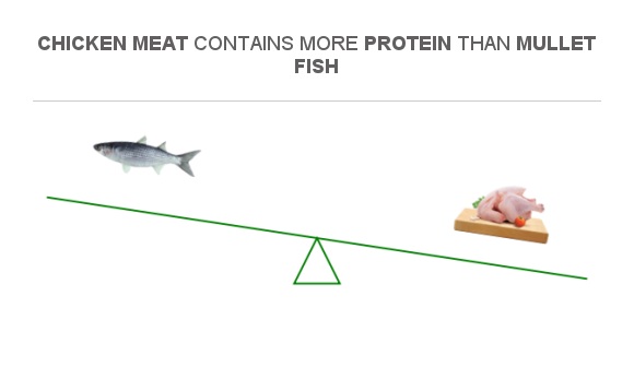 Compare Protein in Mullet fish to Protein in Chicken meat