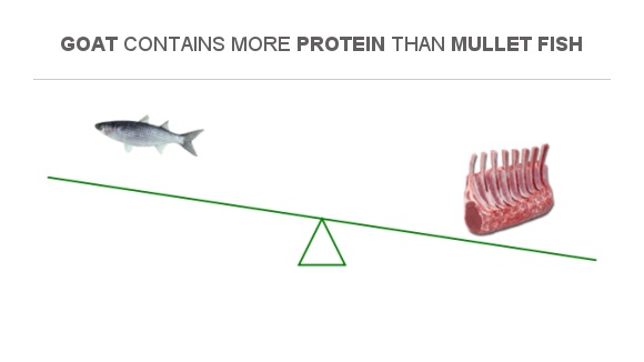 Compare Protein in Mullet fish to Protein in Goat
