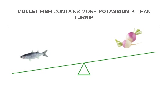 Compare Potassium in Mullet fish to Potassium in Turnip