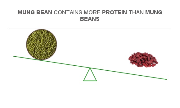 Compare Protein in Mung beans to Protein in Mung bean
