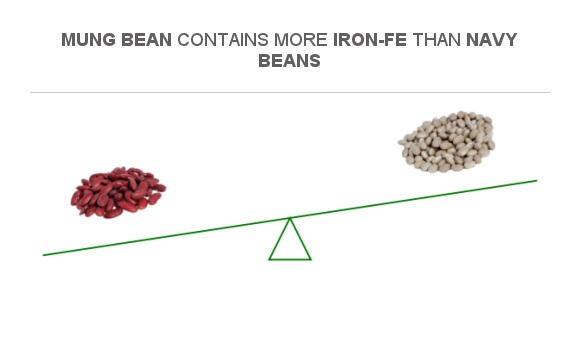 Compare Iron in Mung bean to Iron in Navy beans