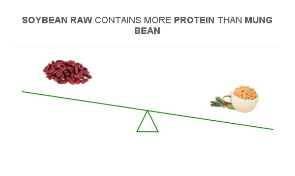 Compare Protein in Mung bean to Protein in Soybean raw