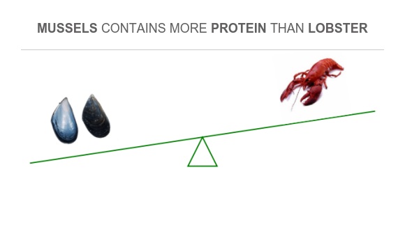Compare Protein in Mussels to Protein in Lobster